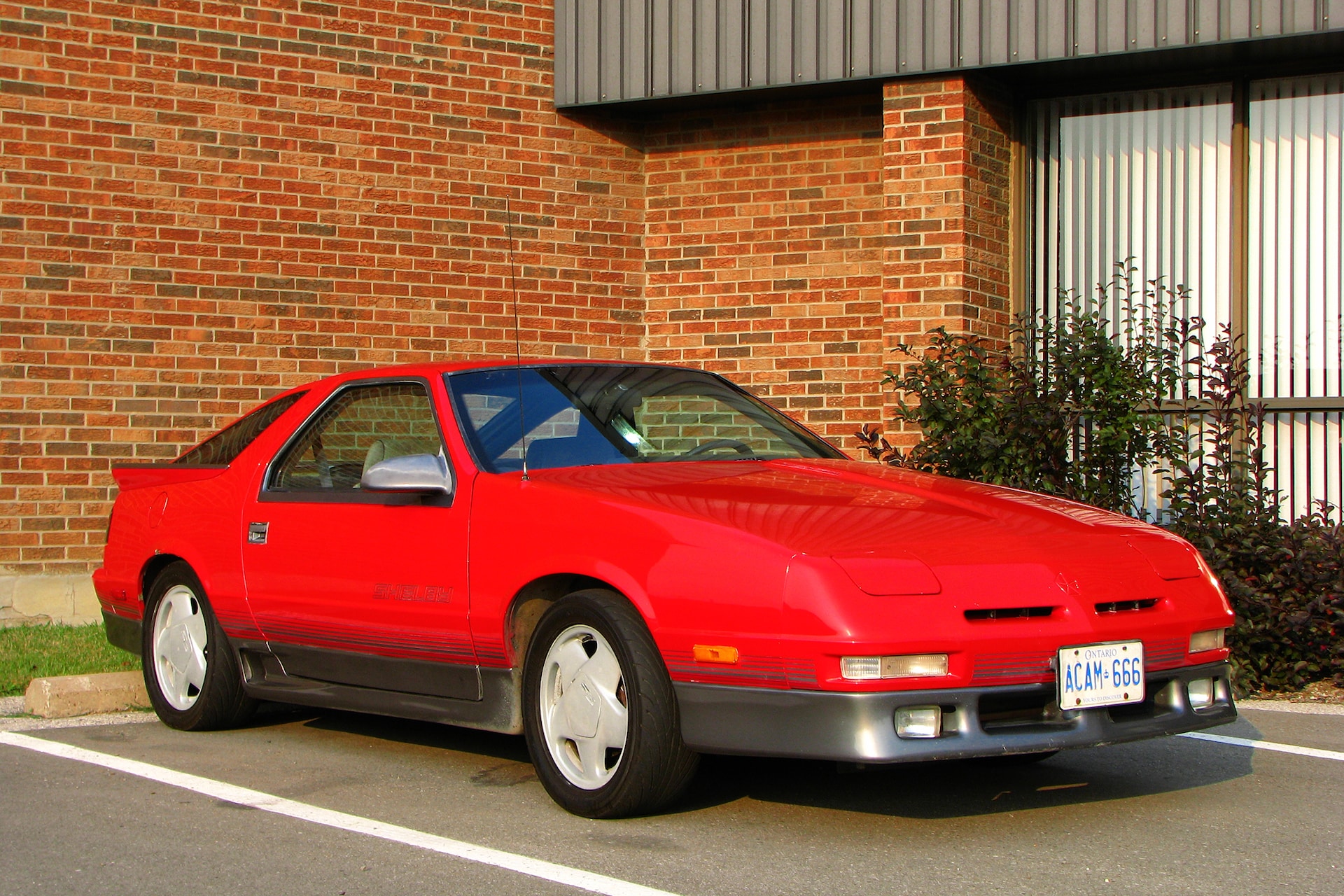El Dodge Daytona Shelby Z es un clásico de 1980 ral - Blog de coches y ...